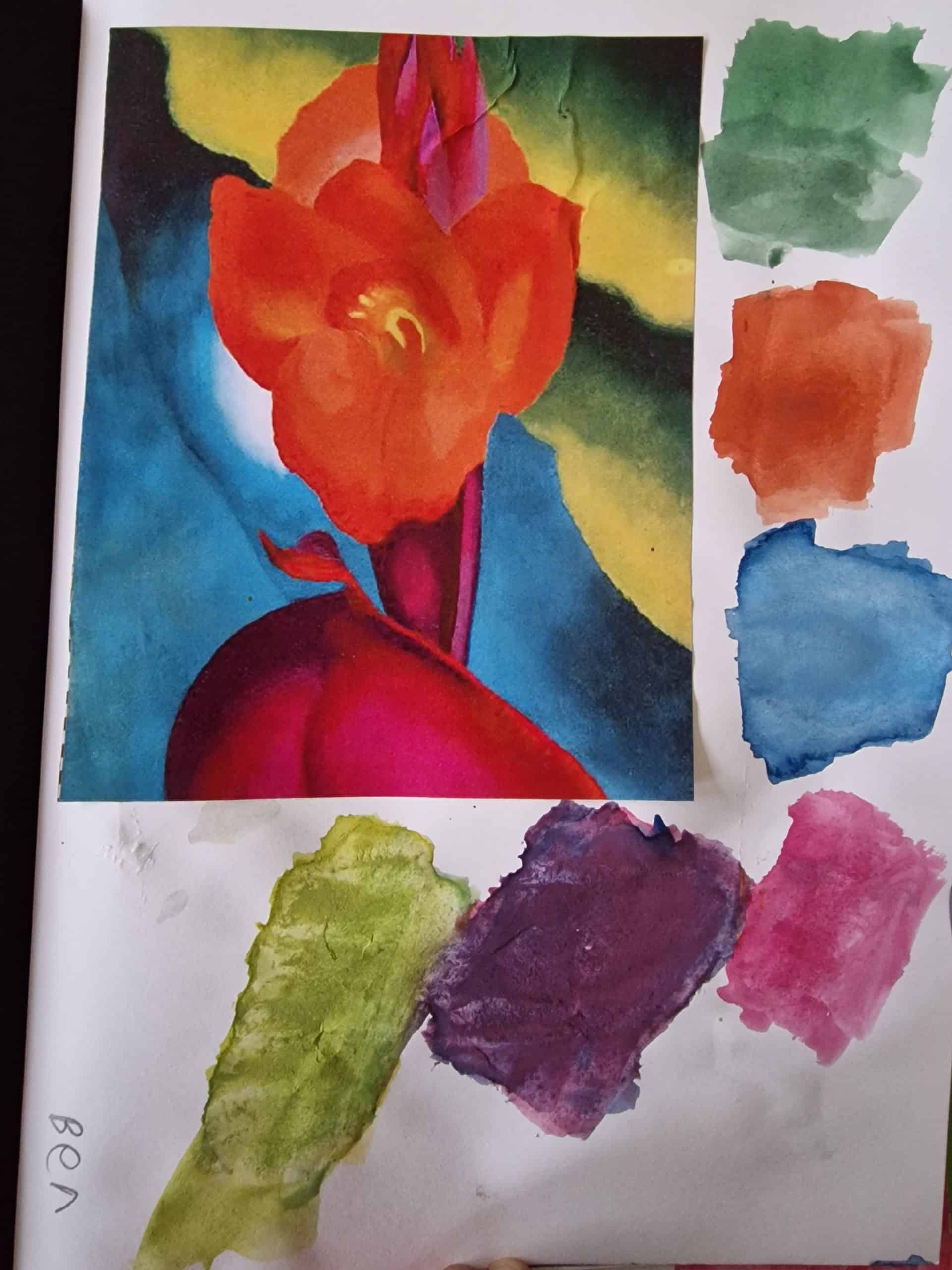 Colour Collectors - Pirton School