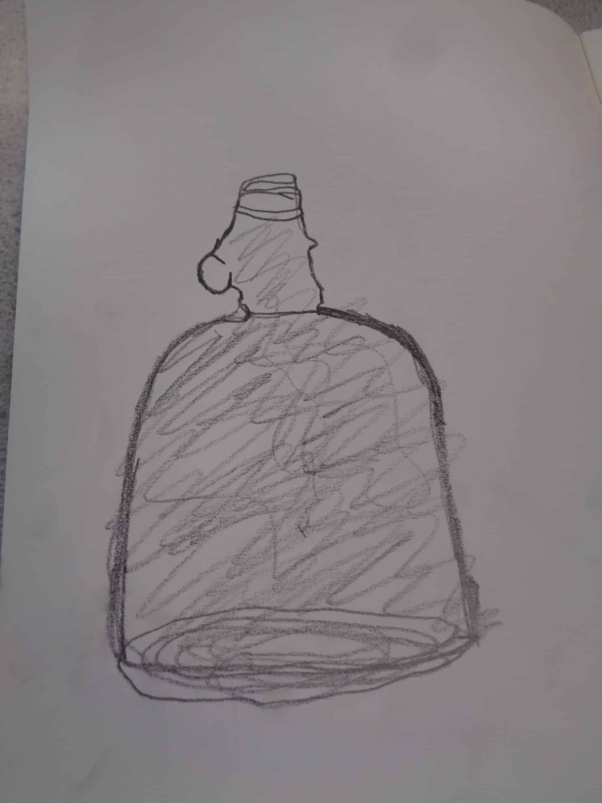 Continuous Line Drawings - Pirton School