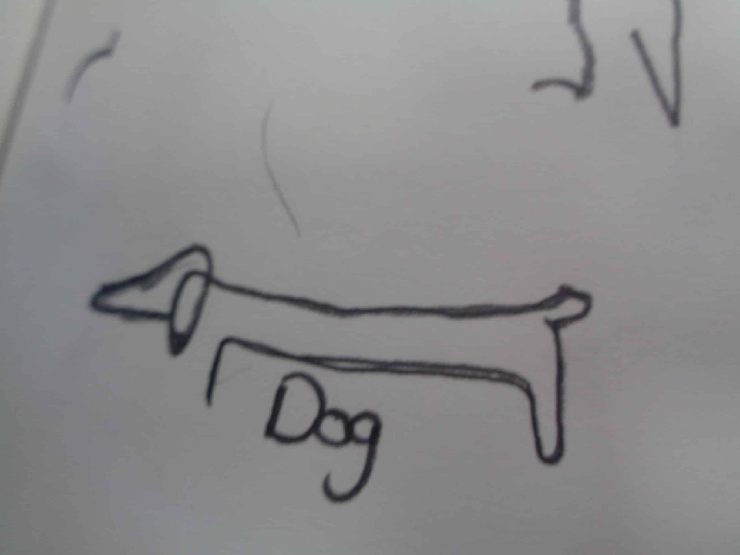 Continuous Line Drawings - Pirton School