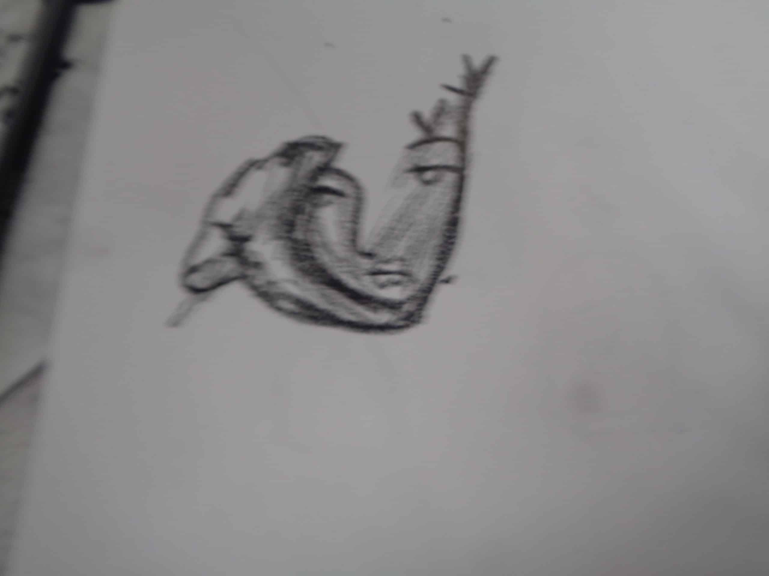 Continuous Line Drawings - Pirton School