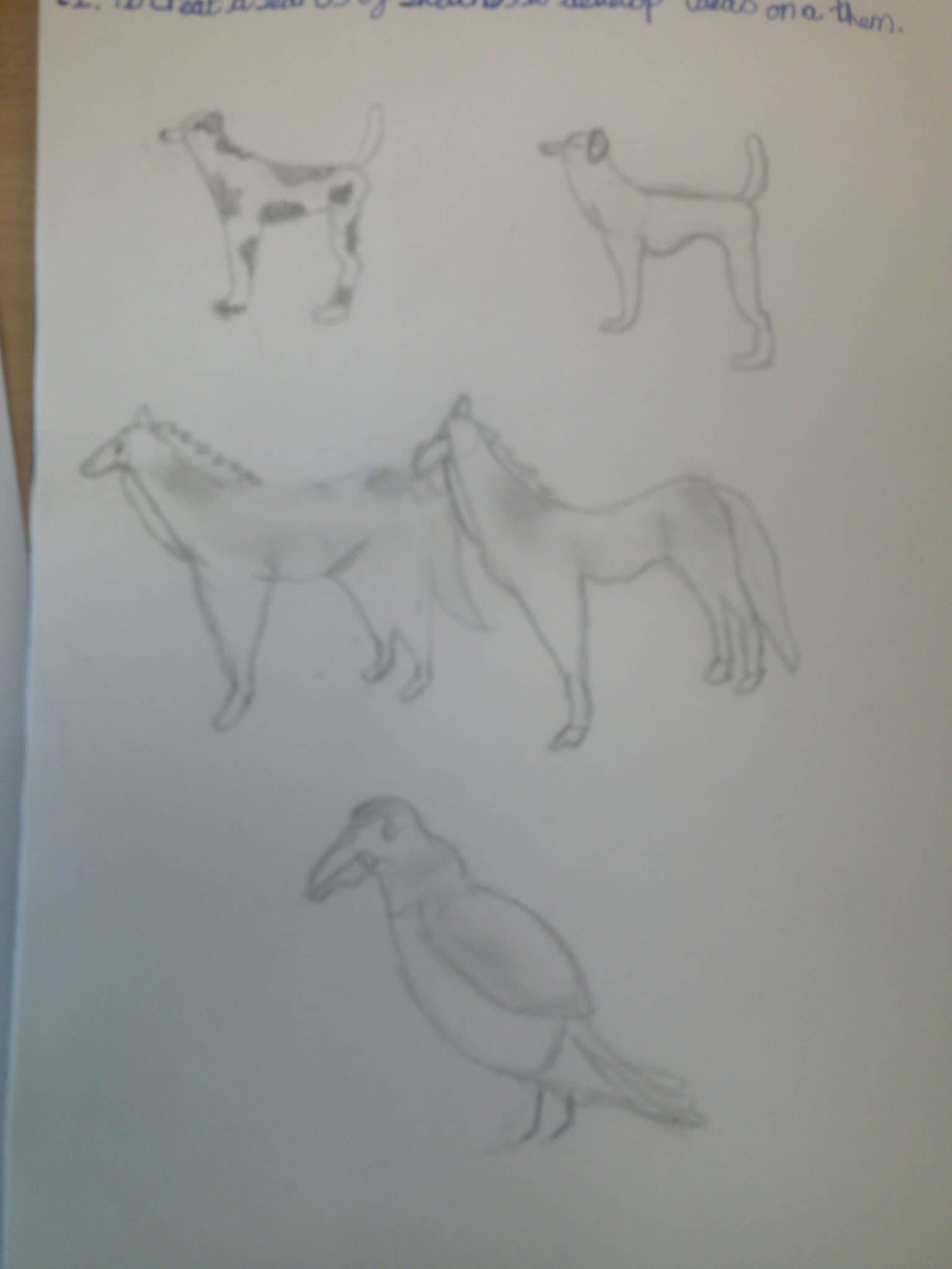 Animals in Art - 28th March 2025 - Pirton School