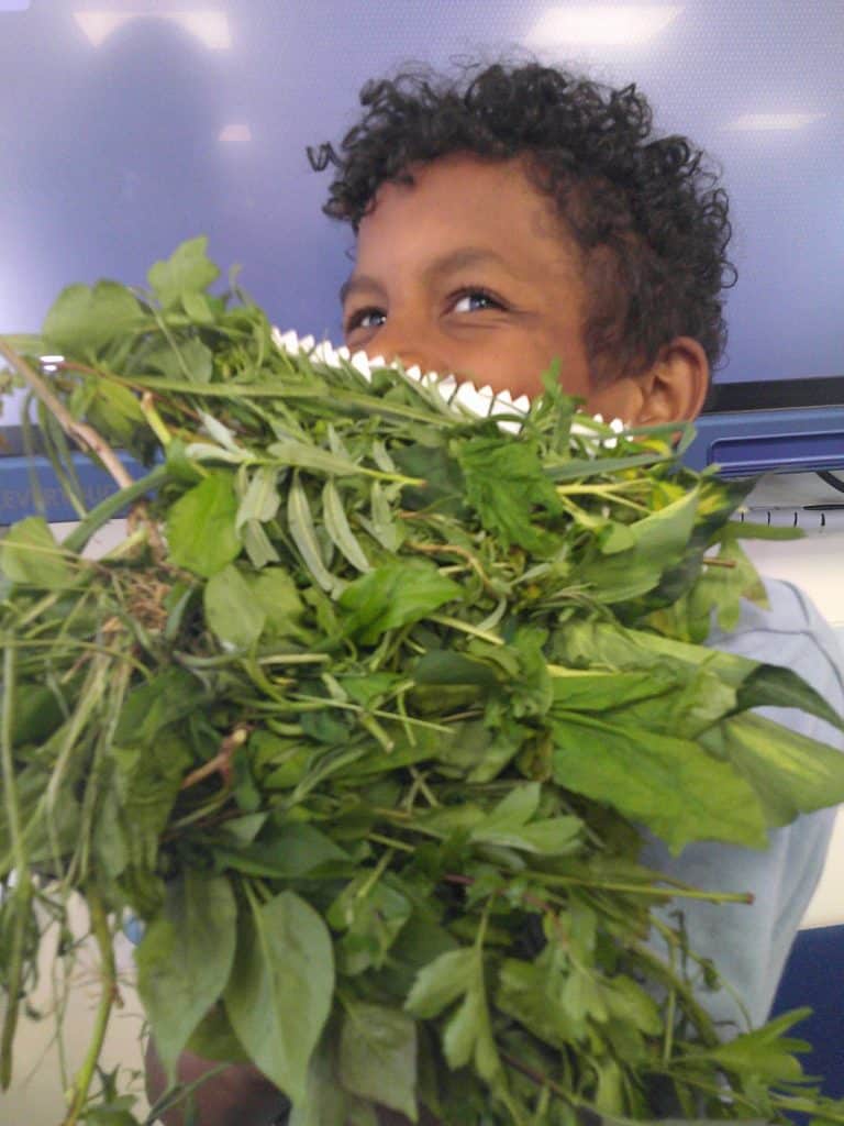 Art - Botanical Weaving - Wednesday 22nd April 2026 - Pirton School