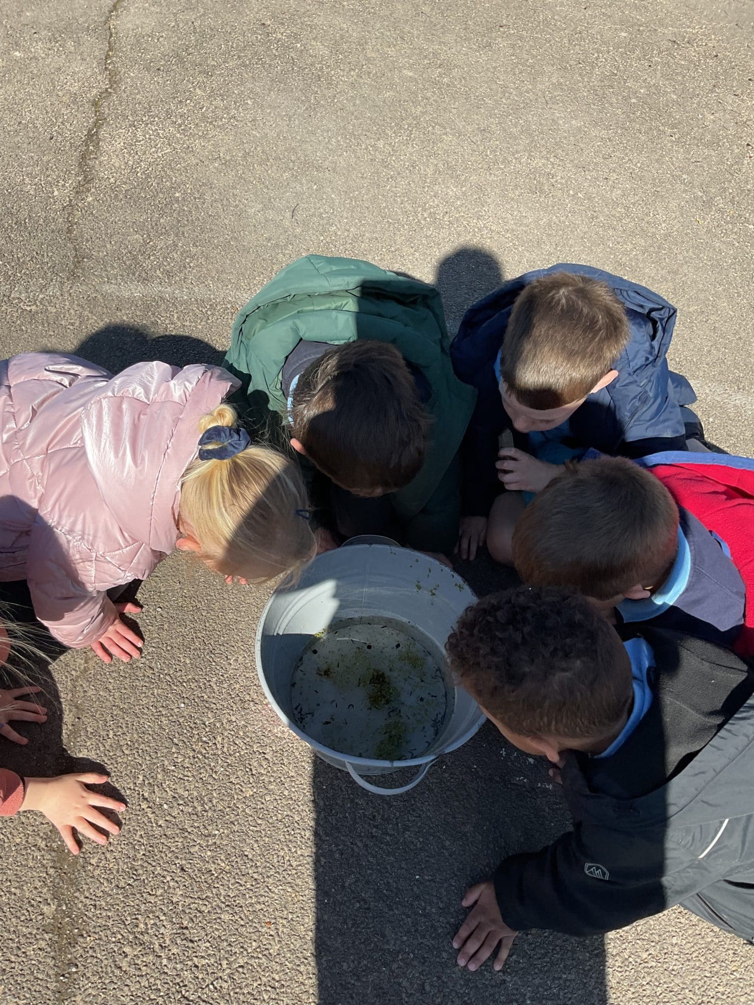 Welcome back for the Summer Term. Friday 17th April 2026 - Pirton School